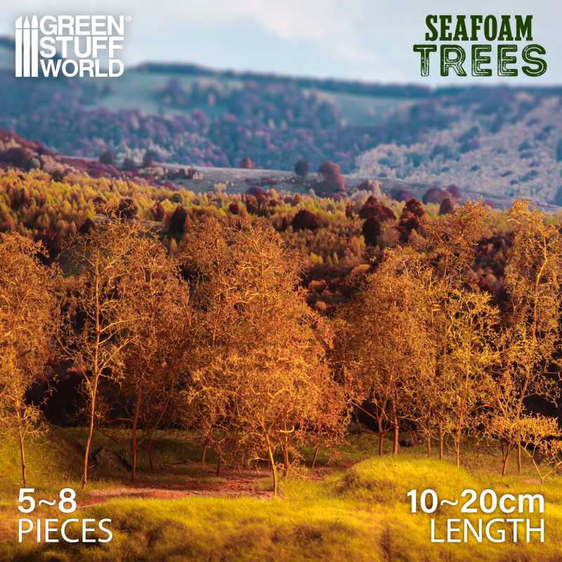 Seafoam trees | Teloxys aristata - GSW