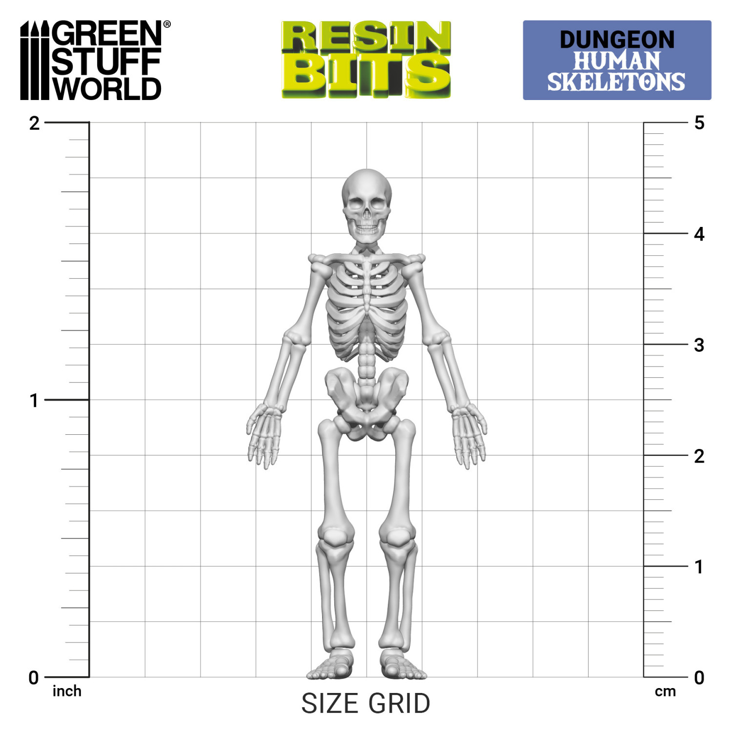 Positionable Human Skeletons 1:48 for miniatures and dioramas - GSW