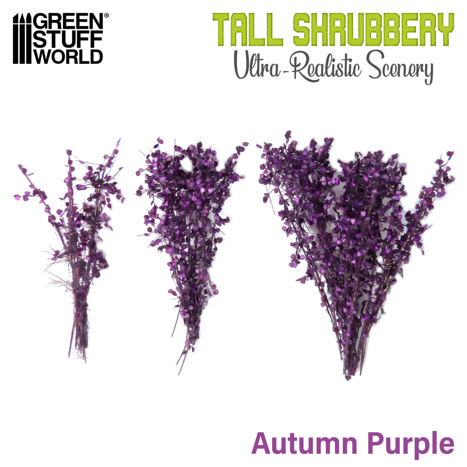 Arbusti Alti - Lilla autunnale | Cespugli alti - GSW