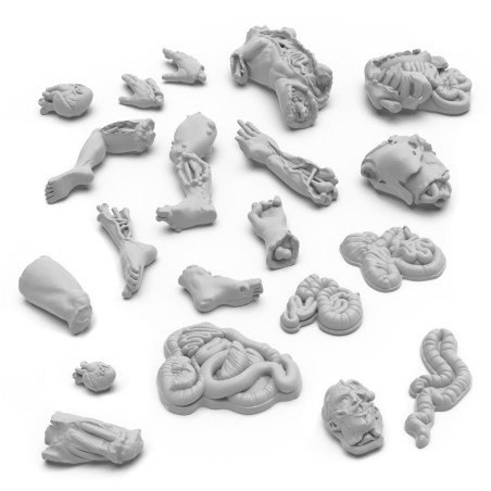 Severed Body Parts 1:48 | Dismembered body parts for dioramas - GSW