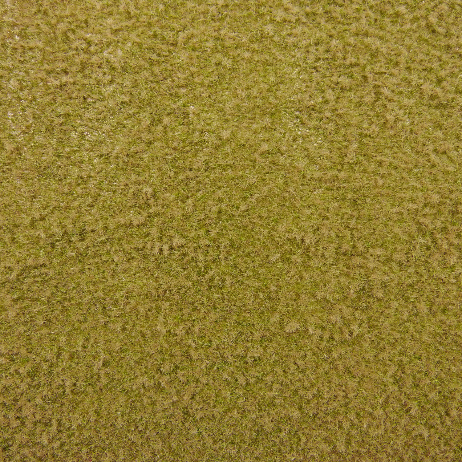 Grass Mats - Beige | - GSW