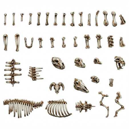 Animal Bones for miniatures and dioramas 1:48 - GSW