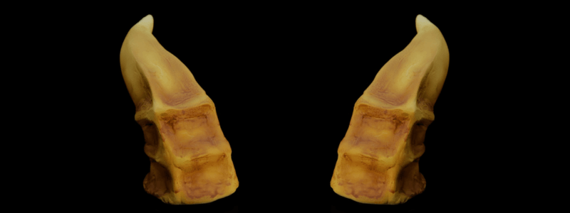 How to make cosplay horns - EVA foam horns tutorial